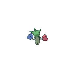 Roselia (Pokémon) - Bulbapedia, the community-driven Pokémon encyclopedia