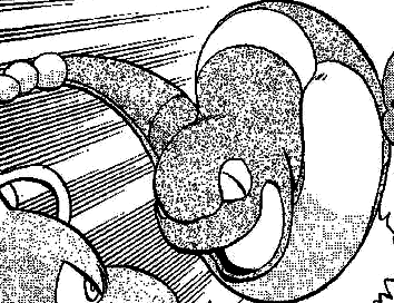 Ekans (Pokémon) - Bulbapedia, the community-driven Pokémon encyclopedia