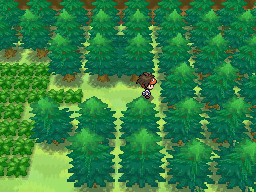Hidden Grotto - Bulbapedia, the community-driven Pokémon encyclopedia