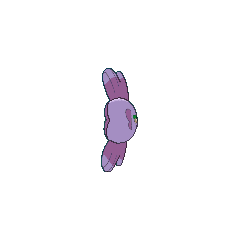 Alomomola (Pokémon) - Bulbapedia, the community-driven Pokémon encyclopedia