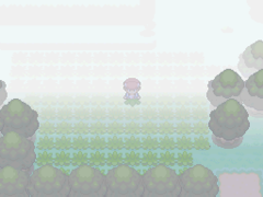 Fog - Bulbapedia, the community-driven Pokémon encyclopedia