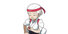 Winstrate family - Bulbapedia, the community-driven Pokémon encyclopedia